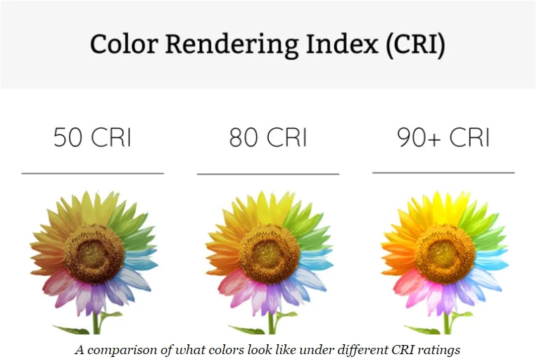 What is CRI? The Ultimate Guide to the Color Rendering Index – ZCLEDS